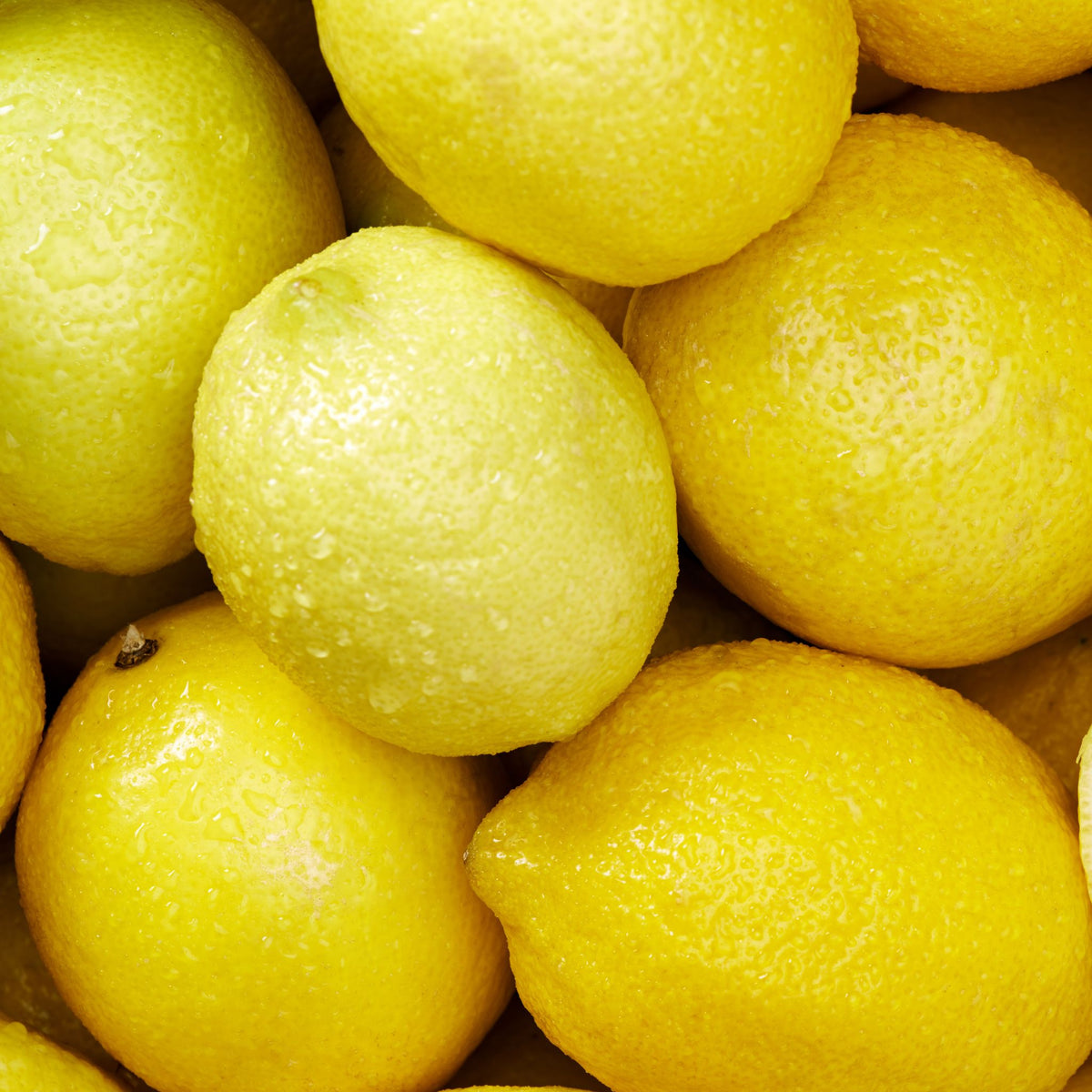 Essential Oil, Lemon 5 Fold (Natural Blend) – Canwax